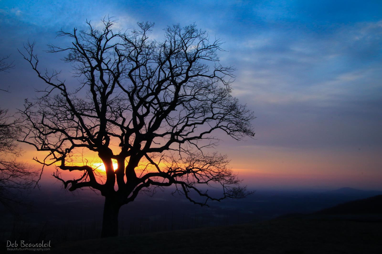First Blue Ridge Parkway Sunrise of 2022 - BEAUTIFUL SUN CREATIONS AND ...